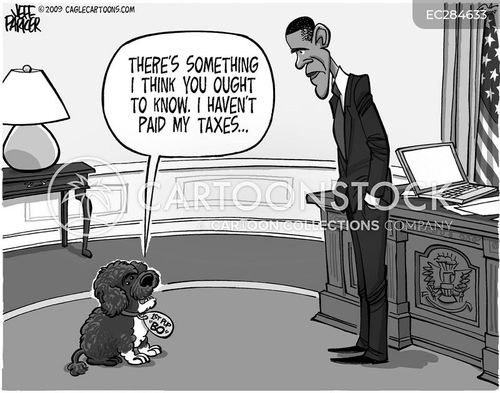 Vetting Process Cartoons and Comics - funny pictures from CartoonStock