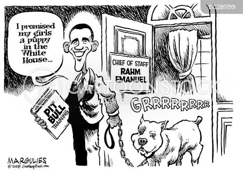 White House Pet Cartoons and Comics - funny pictures from CartoonStock