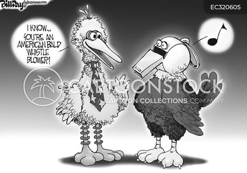 Nsa Whistleblower Cartoons and Comics - funny pictures from CartoonStock