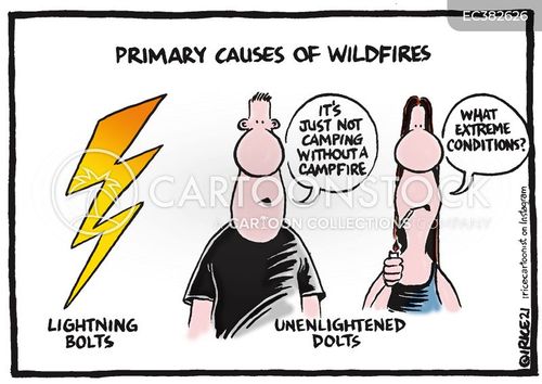 Wildfire Causes Cartoons and Comics - funny pictures from CartoonStock