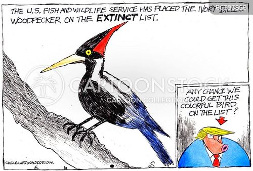 Avian Ecology Cartoons and Comics - funny pictures from CartoonStock