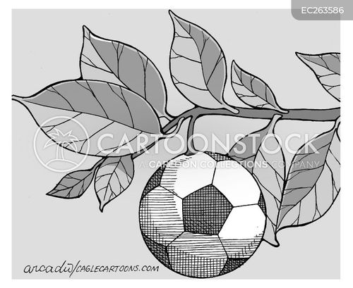 Soccer Fever Cartoons and Comics - funny pictures from CartoonStock