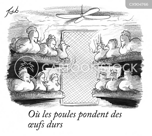 Dessins humoristique et caricaturés avec Poulailler