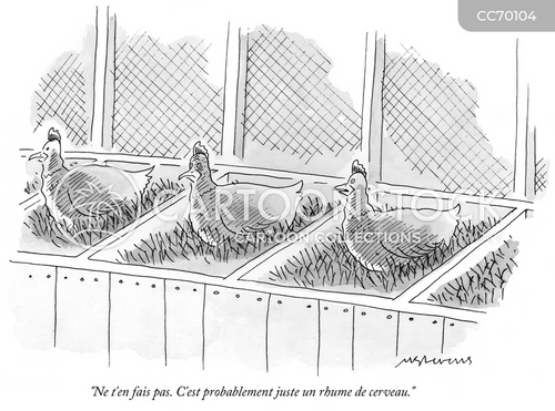 Dessins humoristique et caricaturés avec Poules En Batterie