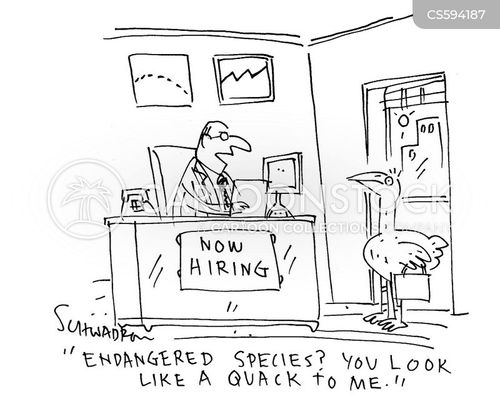 Animal Job Interview Cartoons and Comics - funny pictures from CartoonStock