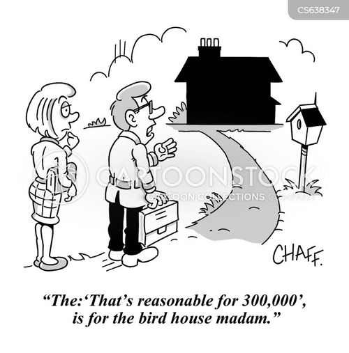 Overpriced House Cartoons and Comics - funny pictures from CartoonStock