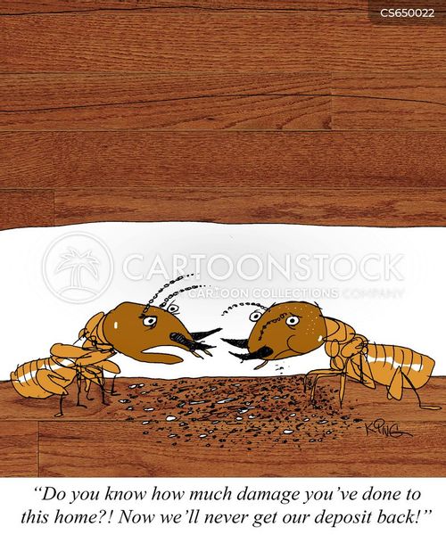 Property Damage Cartoons and Comics - funny pictures from CartoonStock