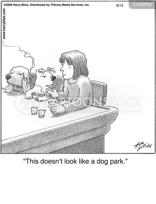 Pets At Bar Cartoons and Comics - funny pictures from CartoonStock