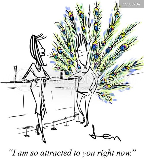 Courtship Display Cartoons and Comics - funny pictures from CartoonStock