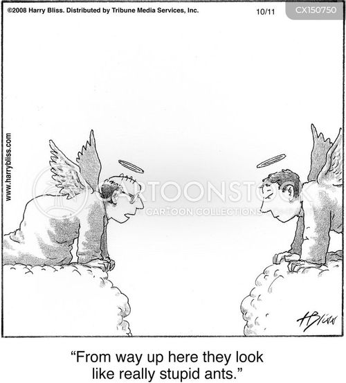 Boast Cartoons and Comics - funny pictures from CartoonStock