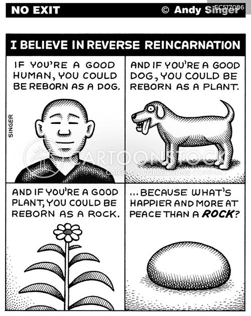 Reincarnation Cartoons and Comics - funny pictures from CartoonStock