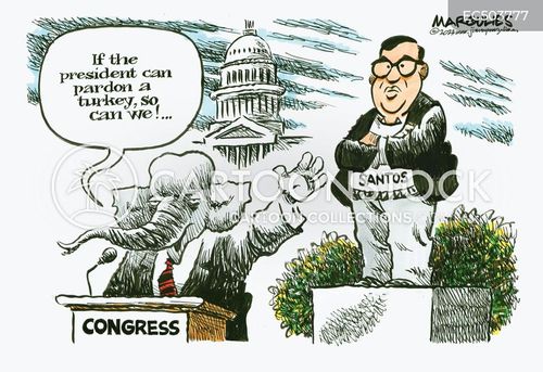 Representative George Santos Cartoons and Comics - funny pictures from ...