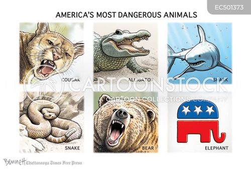 Dangerous Wildlife Cartoons and Comics - funny pictures from CartoonStock