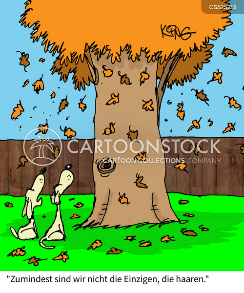 Cartoons und Karikaturen mit Mausert