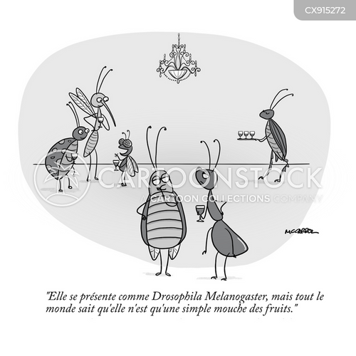 Dessins humoristique et caricaturés avec Réseau De Communication