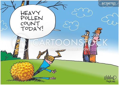 Pollen Cartoons and Comics - funny pictures from CartoonStock