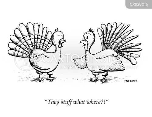 Basting Turkey Cartoons and Comics - funny pictures from CartoonStock