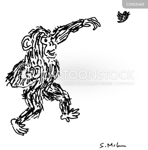 Twitter Monkey Cartoons and Comics - funny pictures from CartoonStock