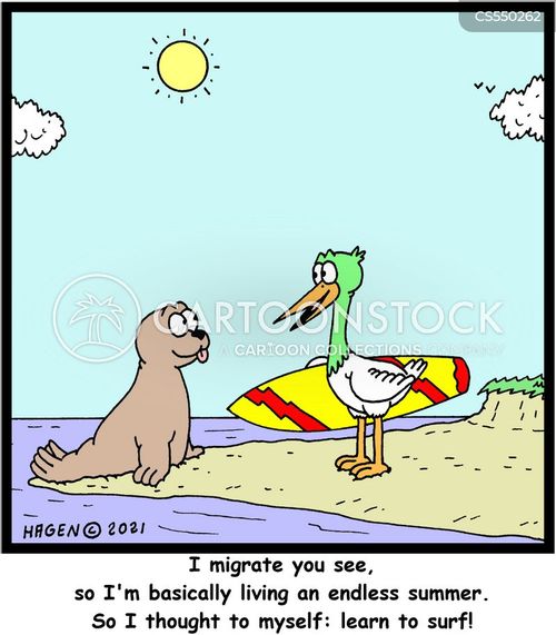 Migrate Cartoons and Comics - funny pictures from CartoonStock