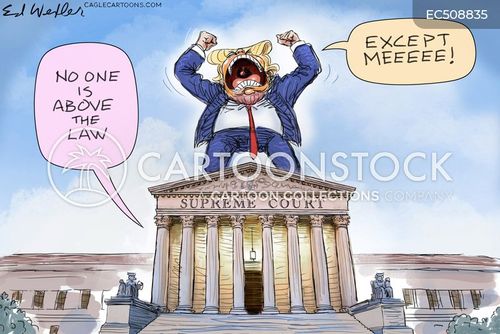 Immunity Laws Cartoons and Comics - funny pictures from CartoonStock