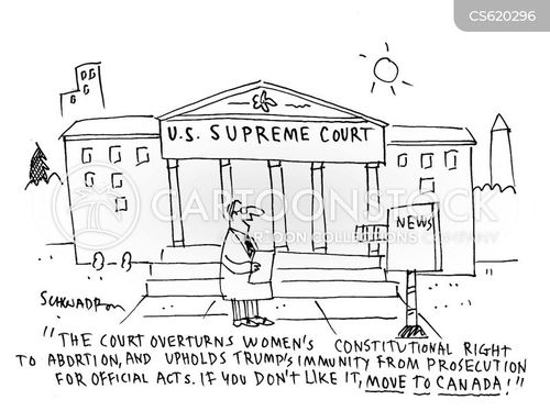 Right Of Immunity Cartoons and Comics - funny pictures from CartoonStock