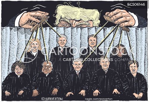 Colorado Primary Cartoons and Comics - funny pictures from CartoonStock