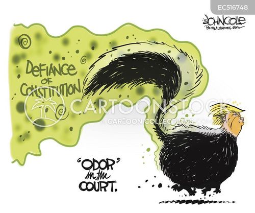 Defiance Of Constitution Cartoons and Comics - funny pictures from ...