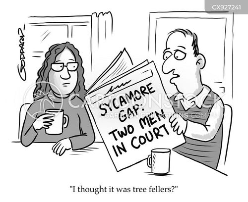 Tree Fellers Cartoons and Comics - funny pictures from CartoonStock