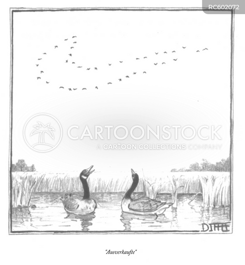 Cartoons und Karikaturen mit Gans