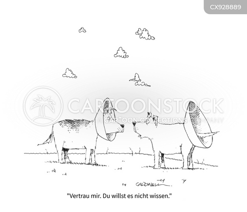 Vertrau Mir, Cartoon Source: Trust Me Bro : R/MemePiece