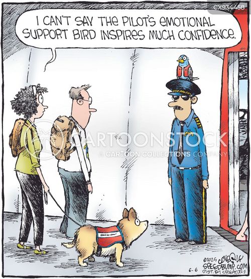 Confidence In Pilot Cartoons and Comics - funny pictures from CartoonStock