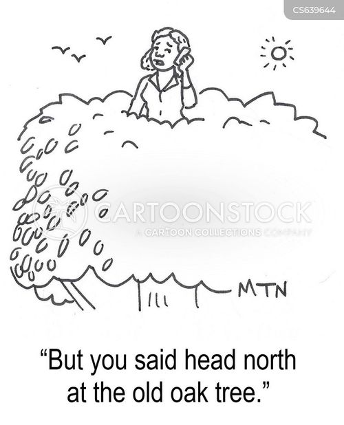 Wayfinding Error Cartoons and Comics - funny pictures from CartoonStock