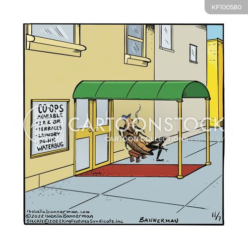 Budget Hotel Cartoons and Comics - funny pictures from CartoonStock