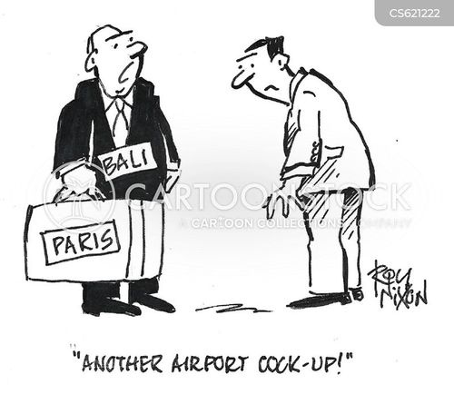 Baggage Mix-up Cartoons and Comics - funny pictures from CartoonStock