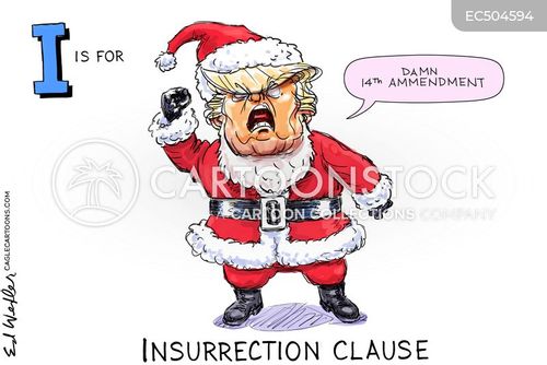 14th Amendment Cartoons and Comics - funny pictures from CartoonStock