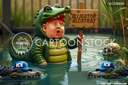 Alligator Alcatraz Cartoons and Comics - funny pictures from CartoonStock