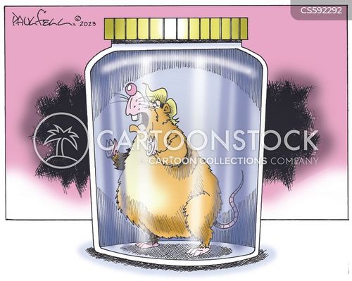Federal Raid Cartoons and Comics - funny pictures from CartoonStock