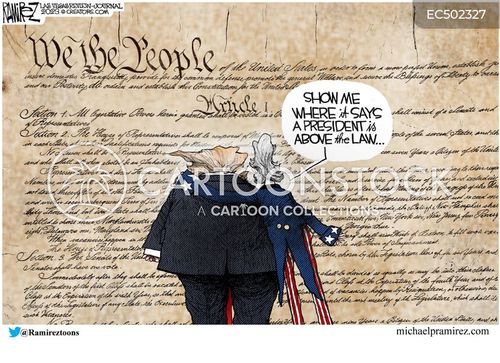 U.s Constitution Cartoons and Comics - funny pictures from CartoonStock