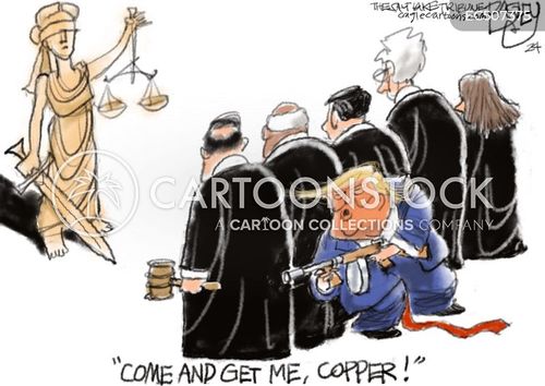 Donald Trump Trial Cartoons and Comics - funny pictures from CartoonStock