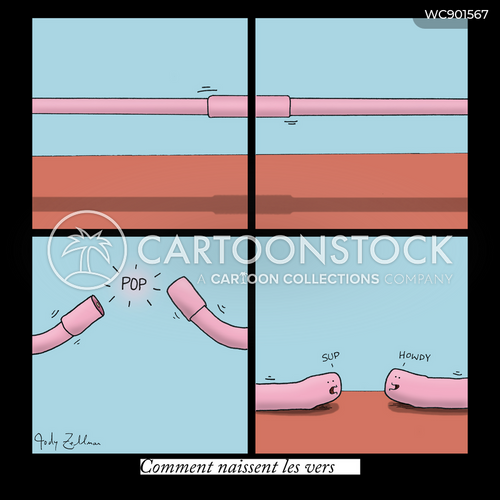 Dessins humoristique et caricaturés avec Anatomie Des Insectes