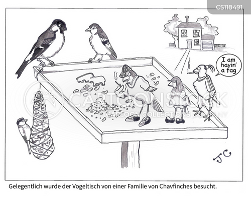 Cartoons und Karikaturen mit Finken