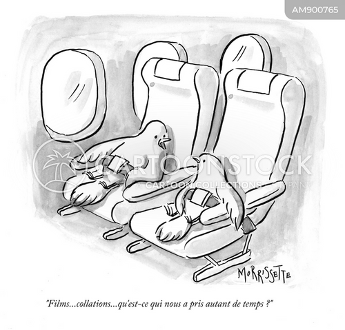 Dessins humoristique et caricaturés avec Plans De Vol