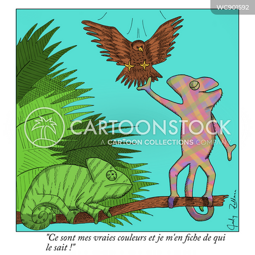 Dessins humoristique et caricaturés avec Camouflages
