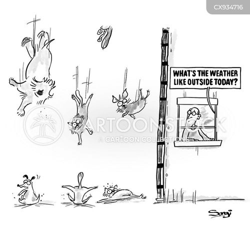 Weather Cartoons and Comics - funny pictures from CartoonStock