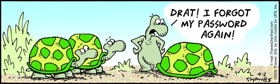 Staff Picks - CartoonStock