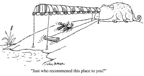 Cartoonists - CartoonStock