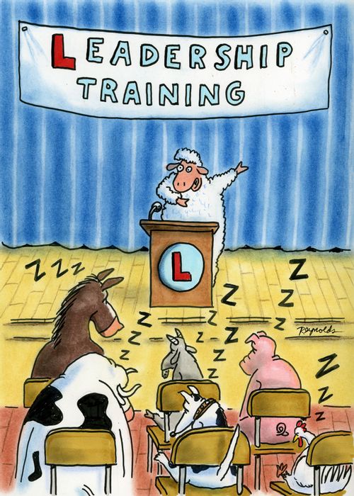 Staff Picks - CartoonStock