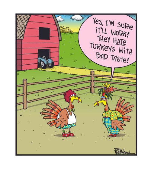 Staff Picks - CartoonStock