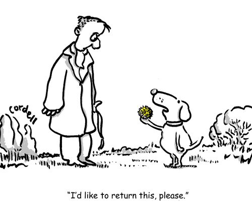 Staff Picks - CartoonStock