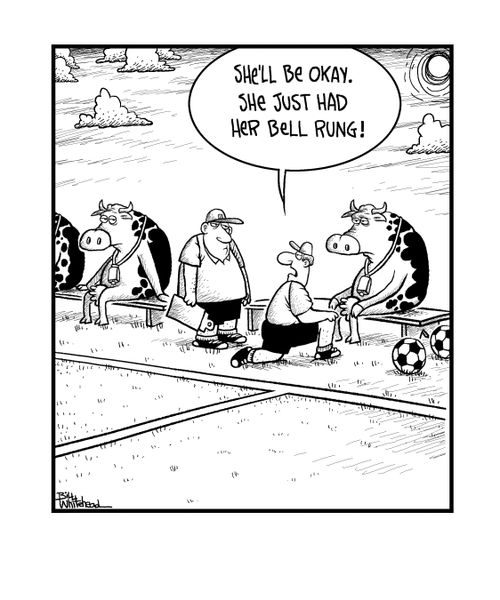 Staff Picks - CartoonStock